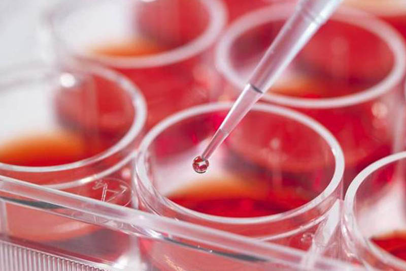 Improvement Of Learning Ability - UNIAREA LLC