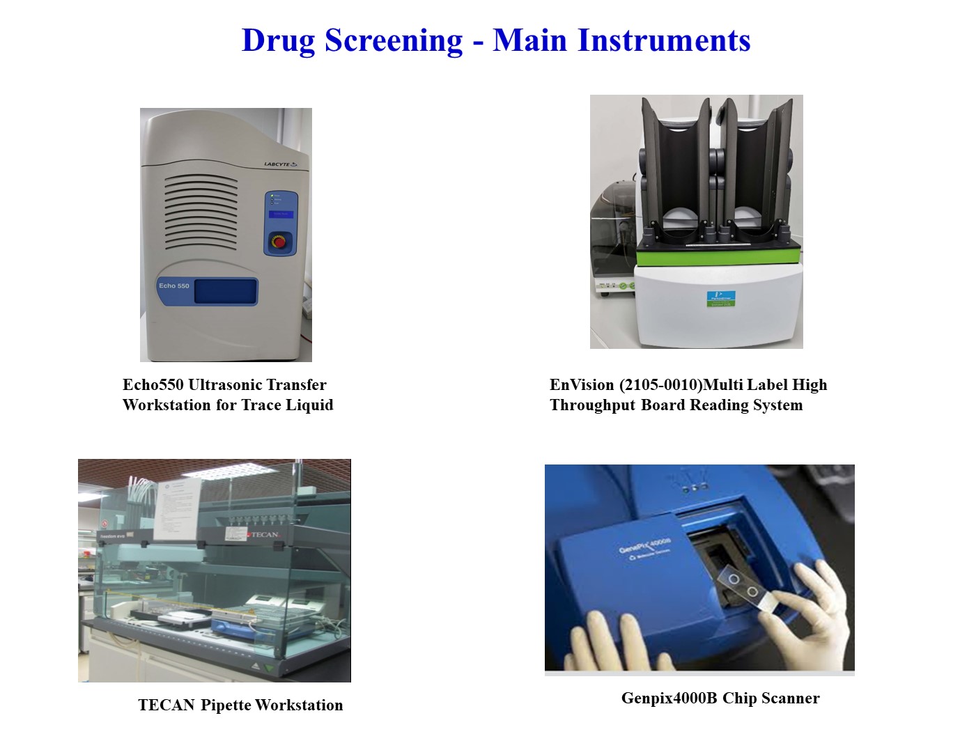 Biology - Shenzhen BORUI Pharmaceutical Technology Co., Ltd.