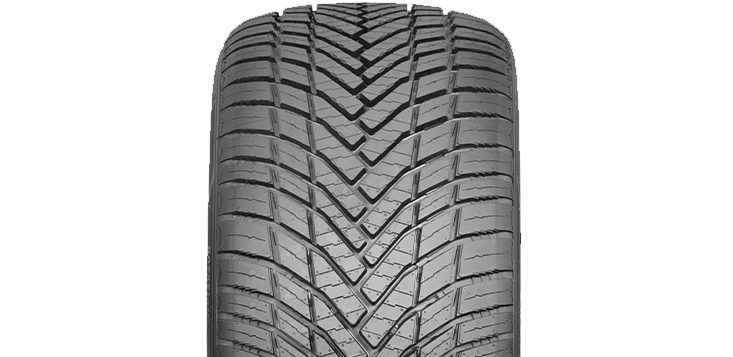 ALL SEASON - DELMAX TYRE