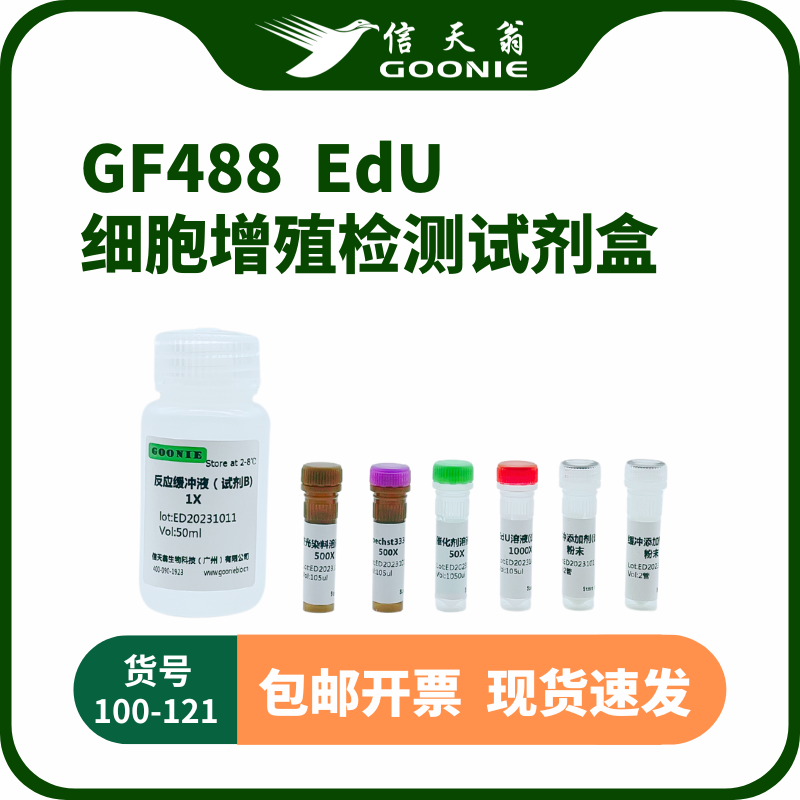 EdU细胞增殖检测试剂盒 | 高灵敏度DNA复制检测试剂盒（488/555/594/647荧光标记）- 信天商生物科技 | 科研实验室专用